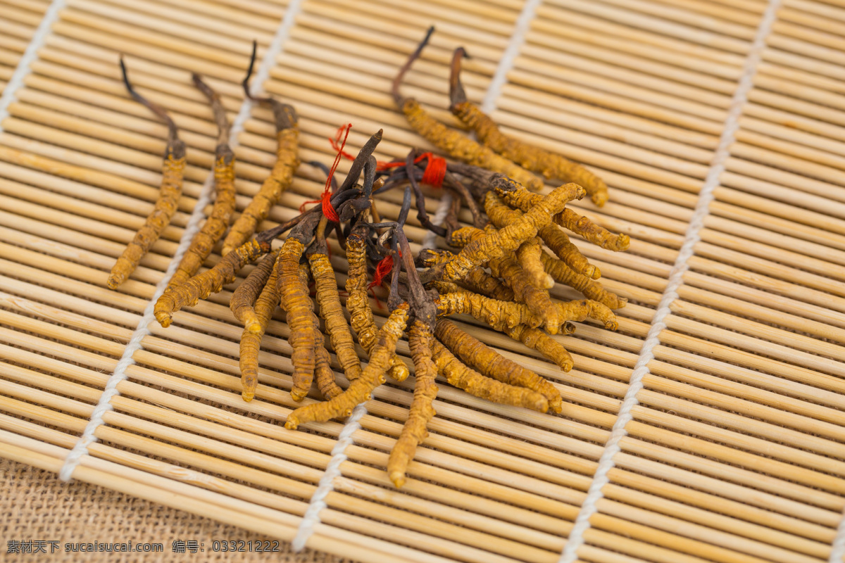 冬虫夏草素材图片下载-素材编号03321222-素材天下图库
